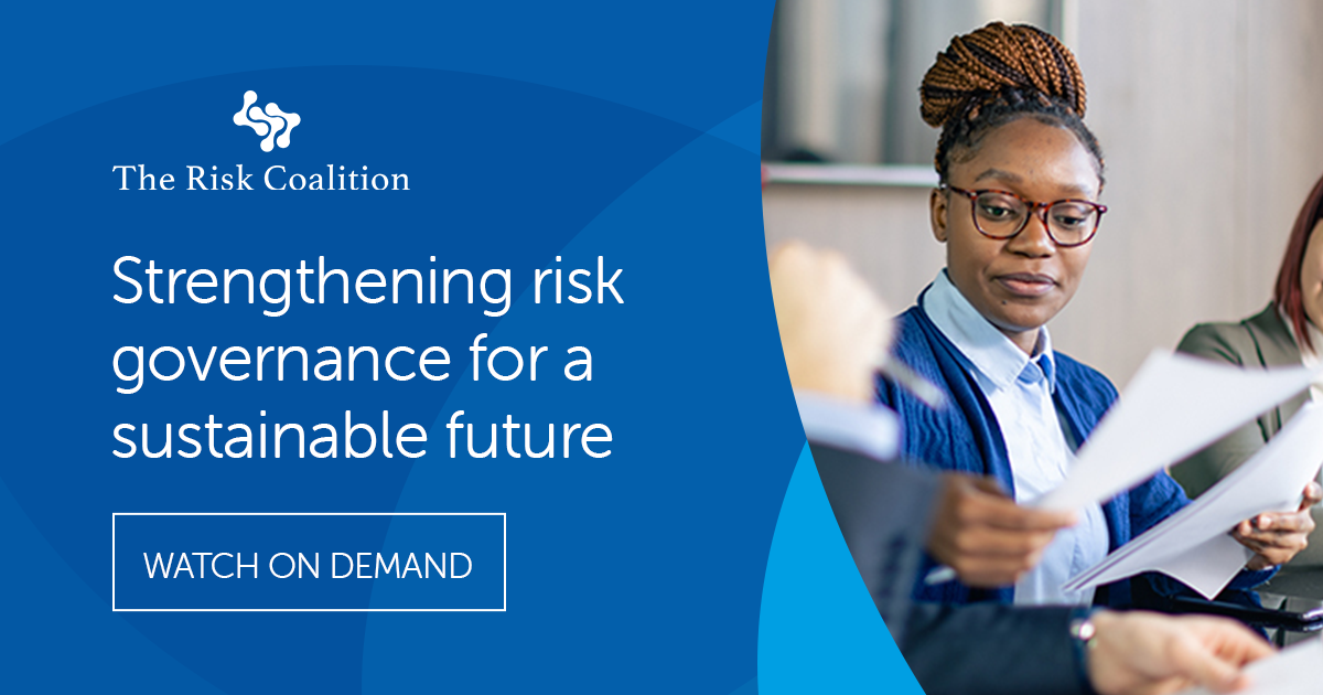 Strengthening risk governance for a sustainable future - Professional Services & Pension ...